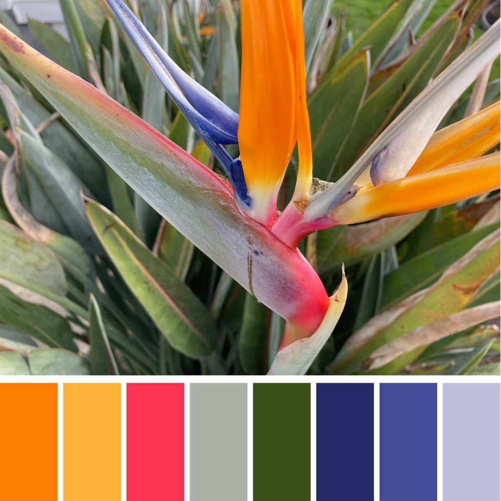 Tutorials Archives - studio xhico | design + branding blog